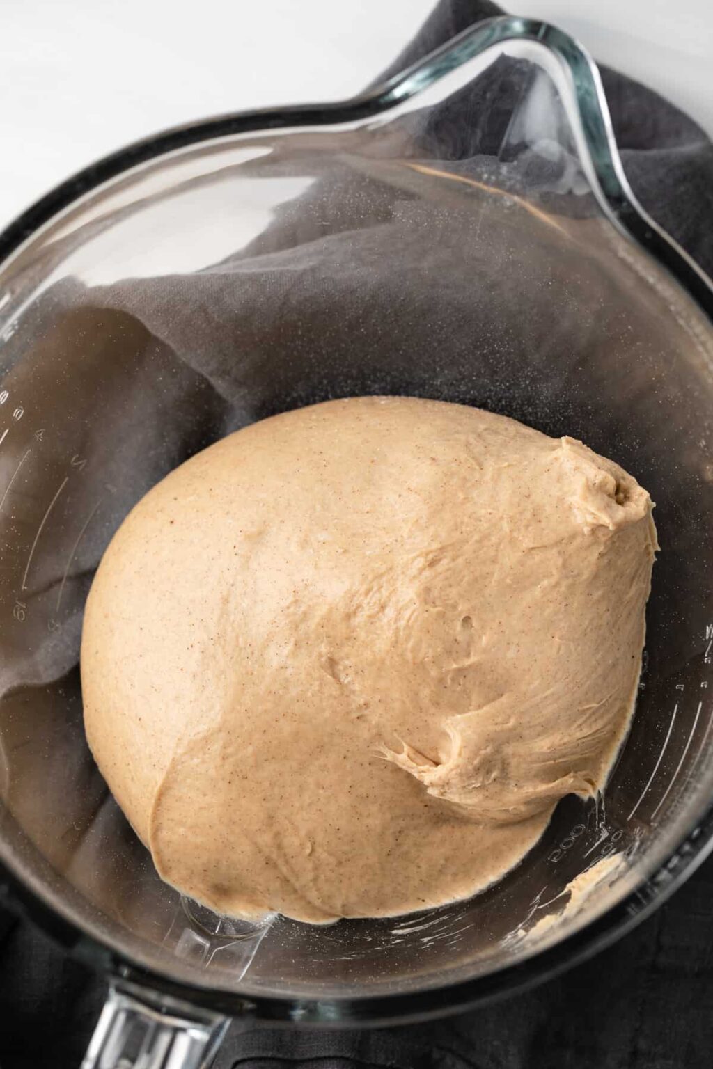 Maple Cinnamon Bagels (Step-By-Step Tutorial) | Baked by an Introvert
