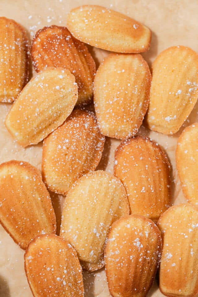 Madeleines - Baked By An Introvert