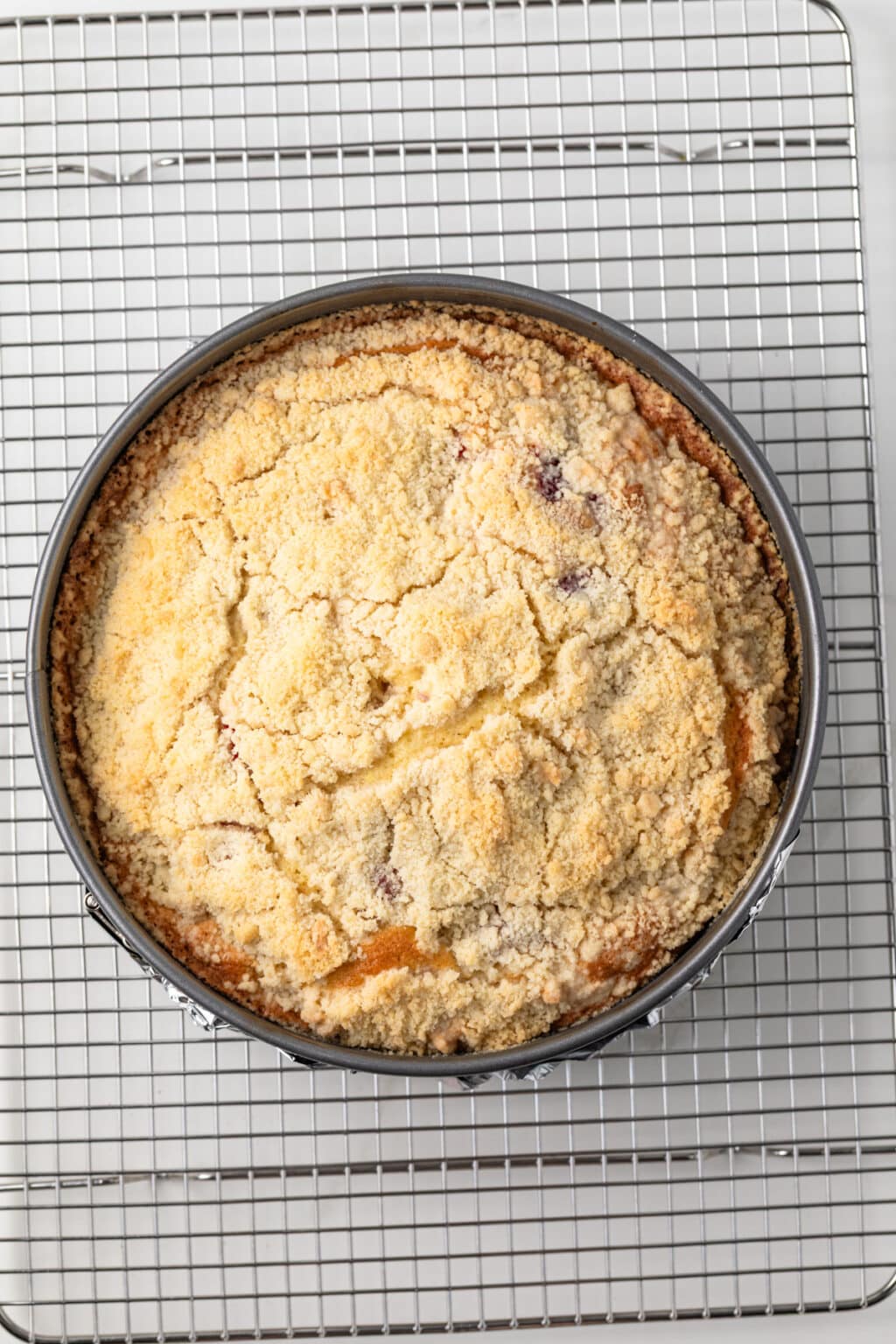 Berry Crumb Cake - Baked By An Introvert